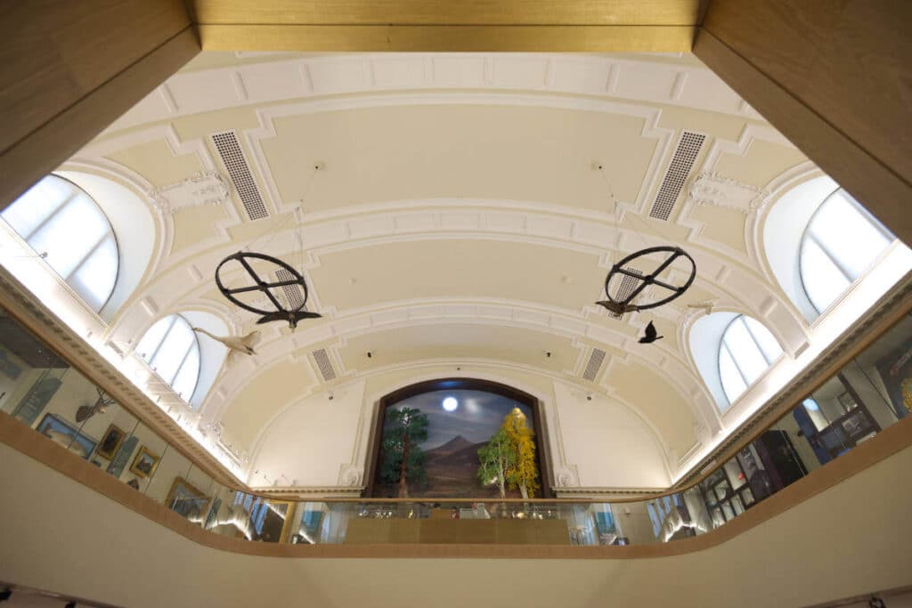 Perth Museum - Rob McDougall